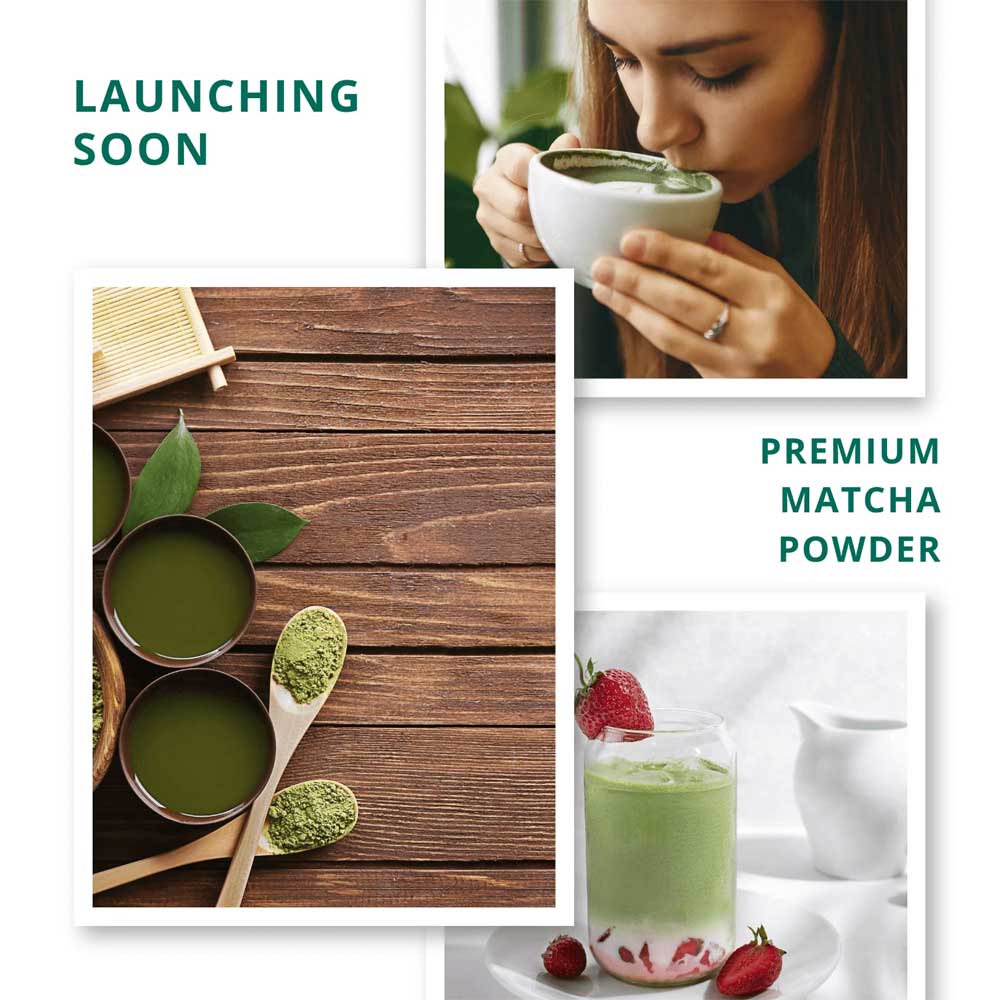 Why Matcha Powder is So Popular – NATURE'S CORE NZ